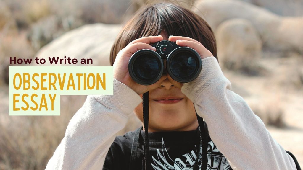 Best Observation Essay Topics And Writing Tips